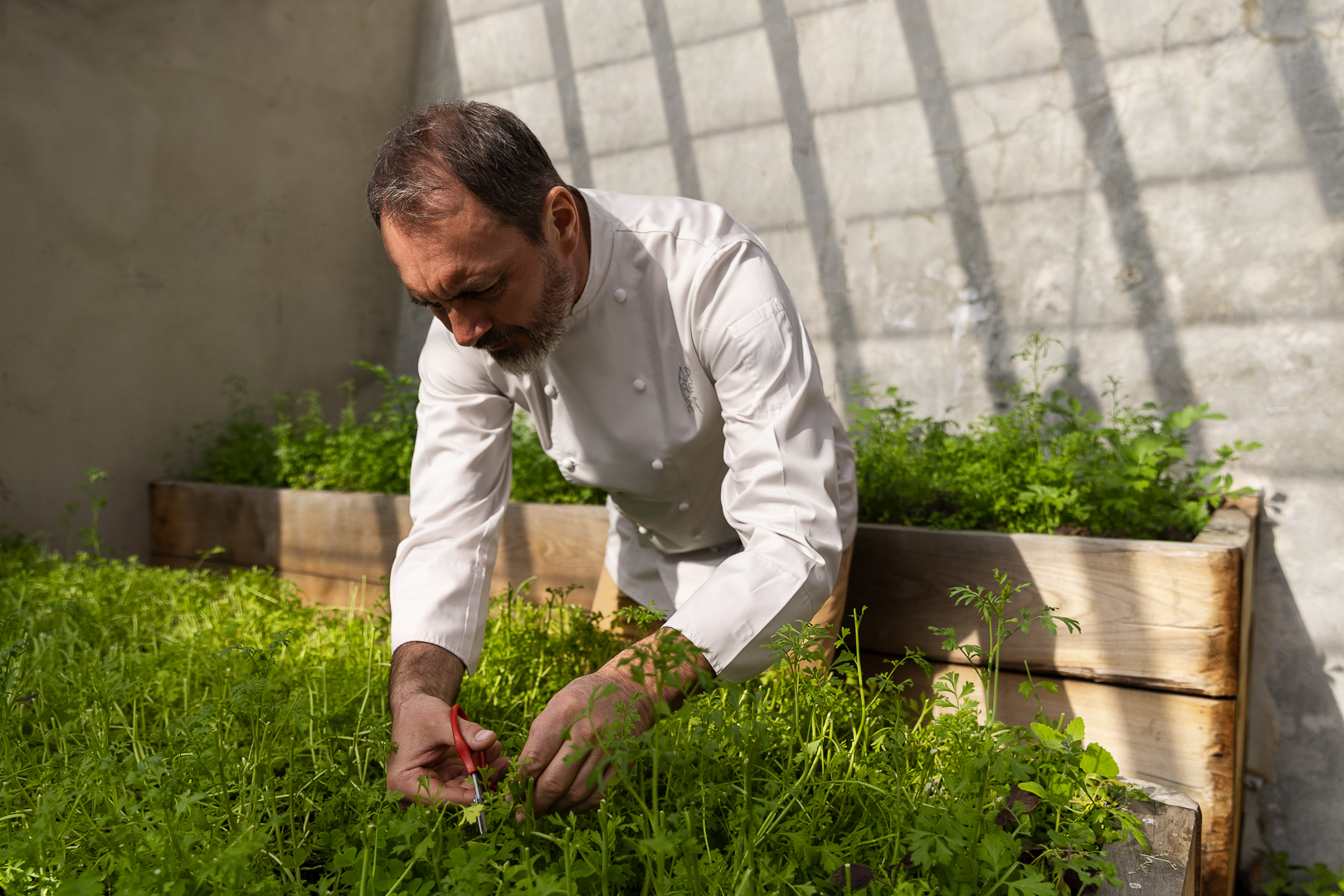 #39 CHRISTOPHE ARIBERT, CHEF DE MAISON ARIBERT - Lili Barbery